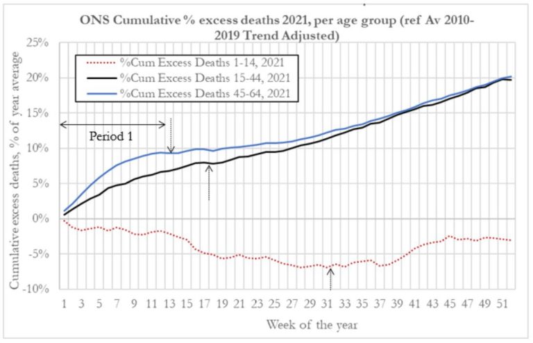 Excess Mortality - Totality of Evidence