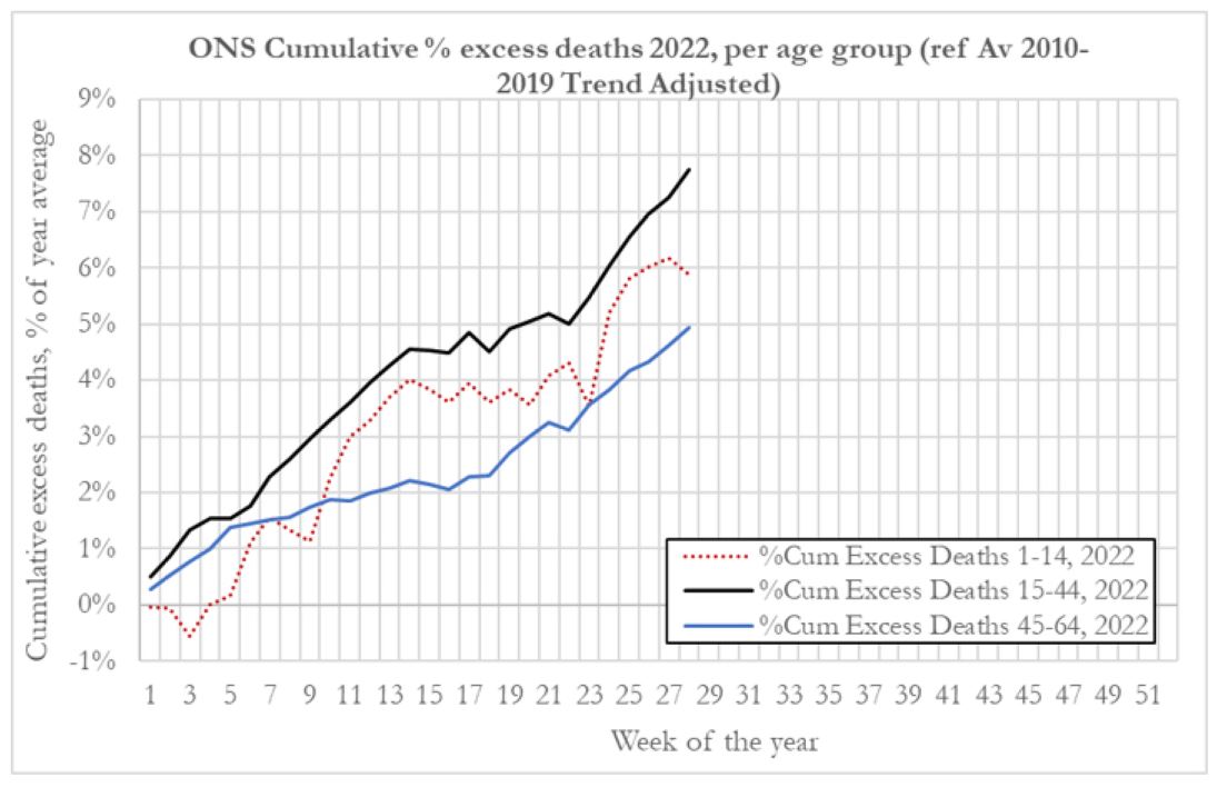 Excess Mortality | Totality of Evidence