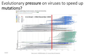 Dr Jessica Rose | Totality of Evidence
