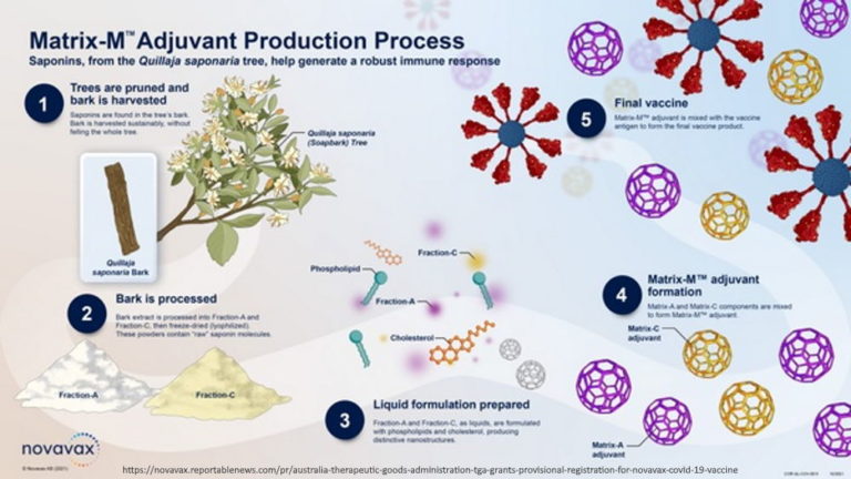 Novavax | Totality of Evidence