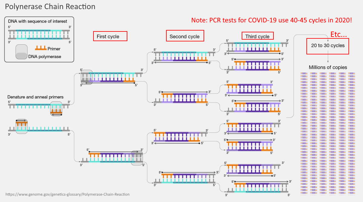 PCR testing timeline | Totality of Evidence