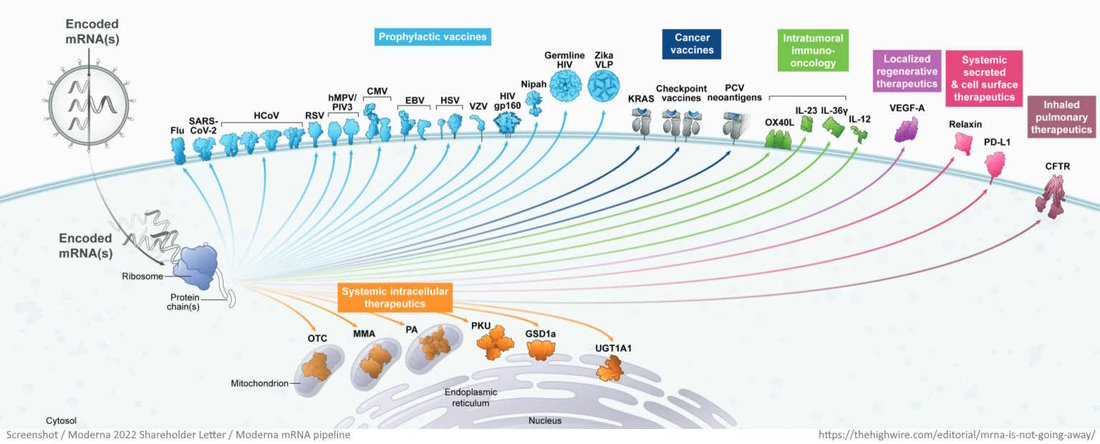 Moderna | Totality of Evidence