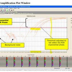 Coronavirus is discovered in humans | Before Pandemic