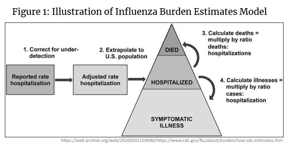 Where did “the flu” go in 2020-21? | Totality of Evidence