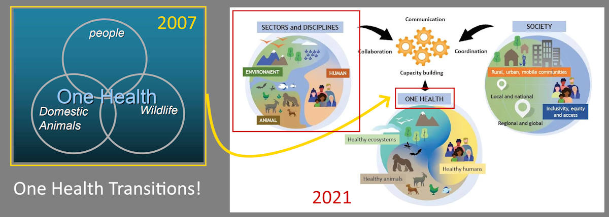 One World, One Health Agenda | Totality of Evidence