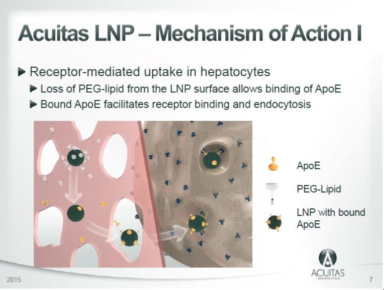 Lipid Nanoparticle (LNP) Technology | Totality of Evidence