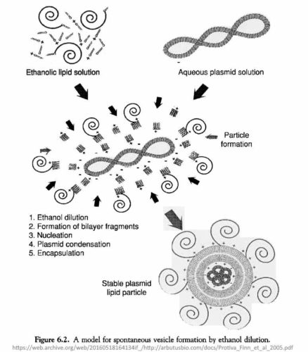 Lipid Nanoparticle (LNP) Technology | Totality of Evidence