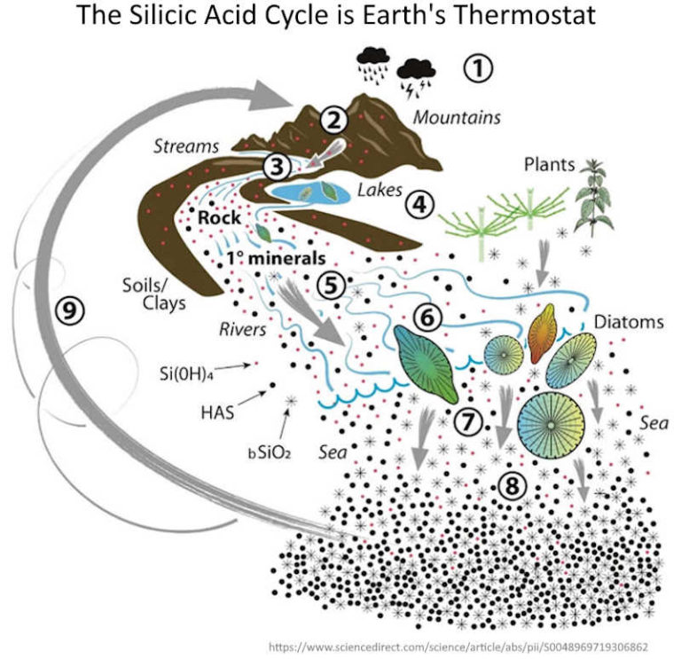 Professor Christopher Exley | Totality of Evidence