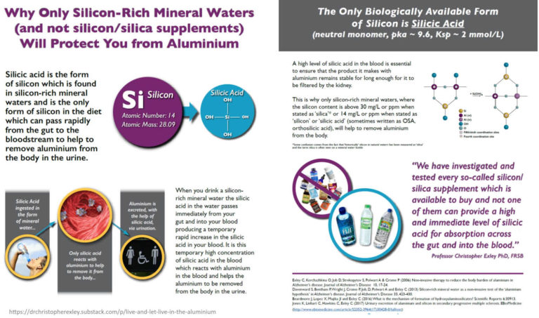 Professor Christopher Exley | Totality of Evidence